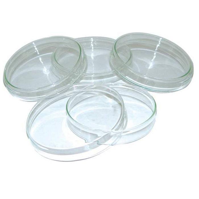 PLACA DE PETRI 60 X 15 MM. (10 UN/PCT) : Plástico : Nox Solutions