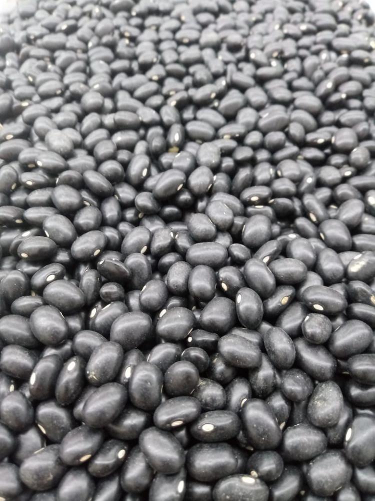 FEIJÃO PRETO Á GRANEL 300g : Feijões : Empório 12 Grãos FEIJÃO PRETO Á GRANEL 300g : Feijões : Empório 12 Grãos