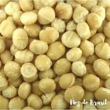 MACADÂMIA CRUA 300g : Todos Os Produtos : Empório 12 Grãos