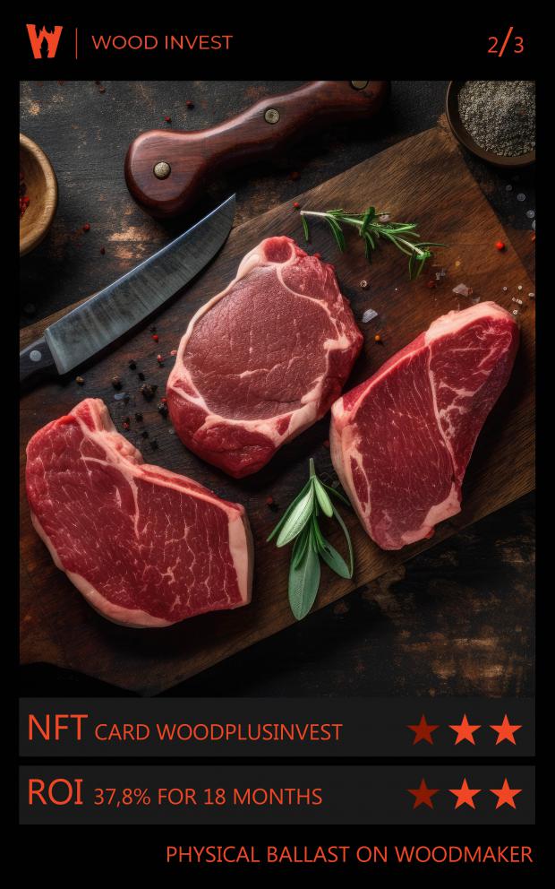 WOOD PLUS INVEST : WOOD INVEST : WOODMAKER - CONCEIRO PARA O SEU CHURRASCO